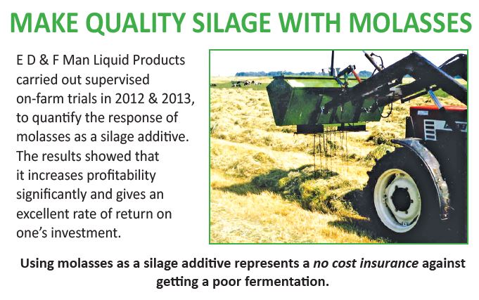 Make quality silage with molasses - ED&F Man Liquid Products Germany